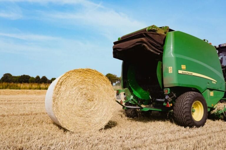 Straw bale dimensions: a complete guide for hay sellers - xesbalenet.com